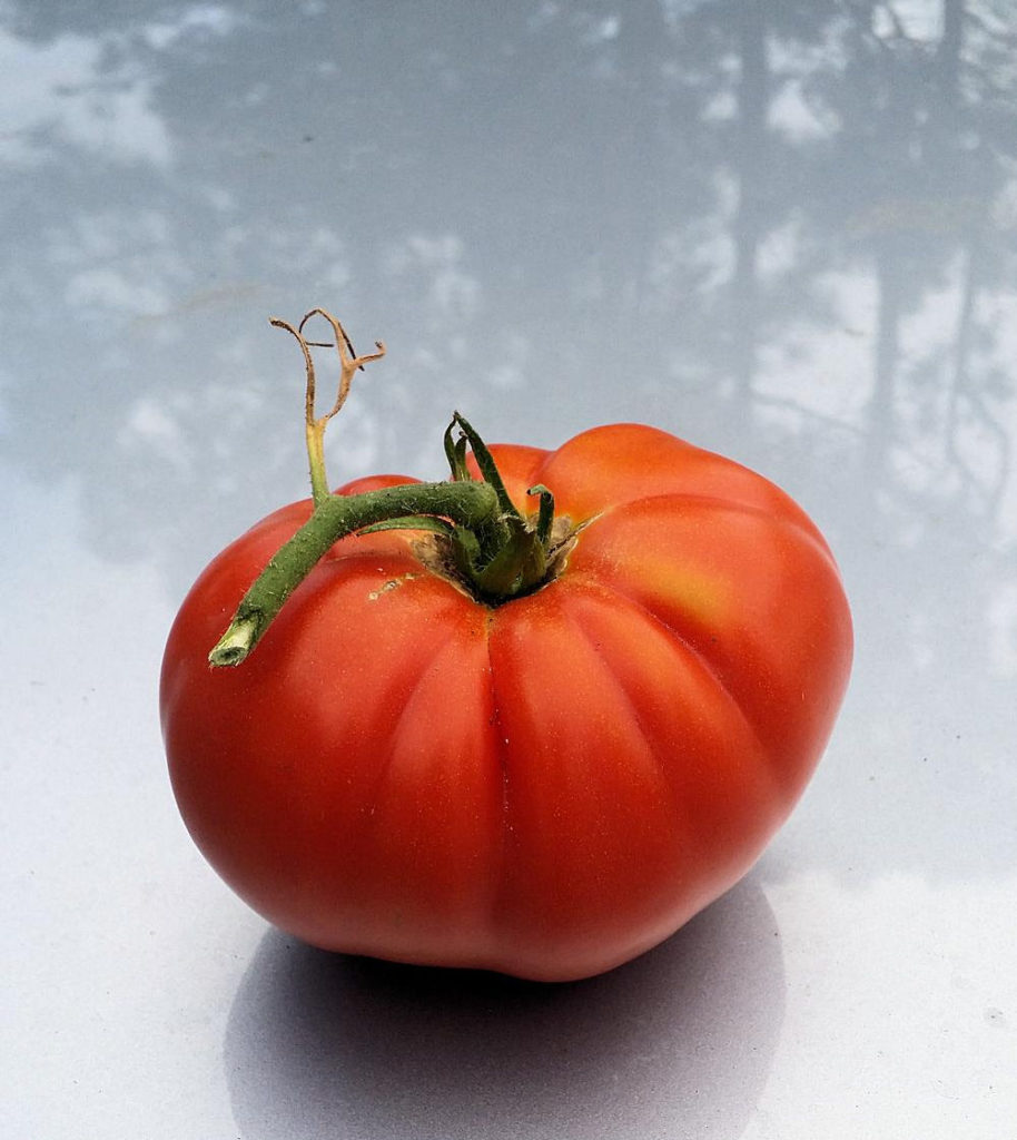 Big Beef is Ready! - Homegrown Tomatoes